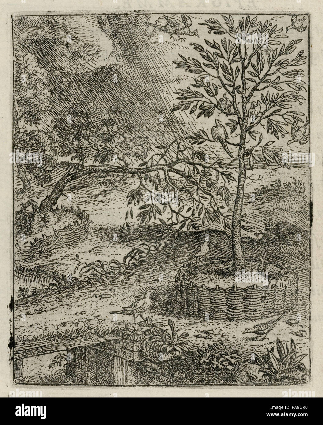 Renaissance laurel wreath hi-res stock photography and images - Alamy