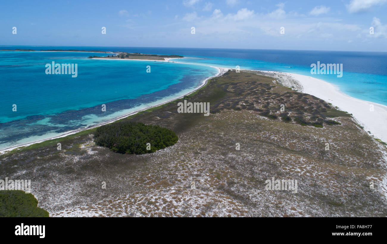 Aerial view Tropical beach of island Cayo de Agua, Los Roques ...