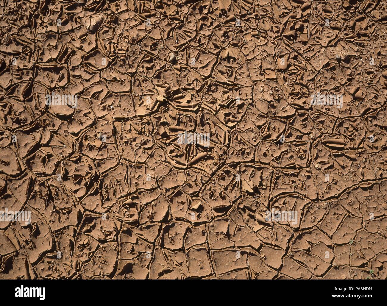 Tierra cuarteada hi-res stock photography and images - Alamy