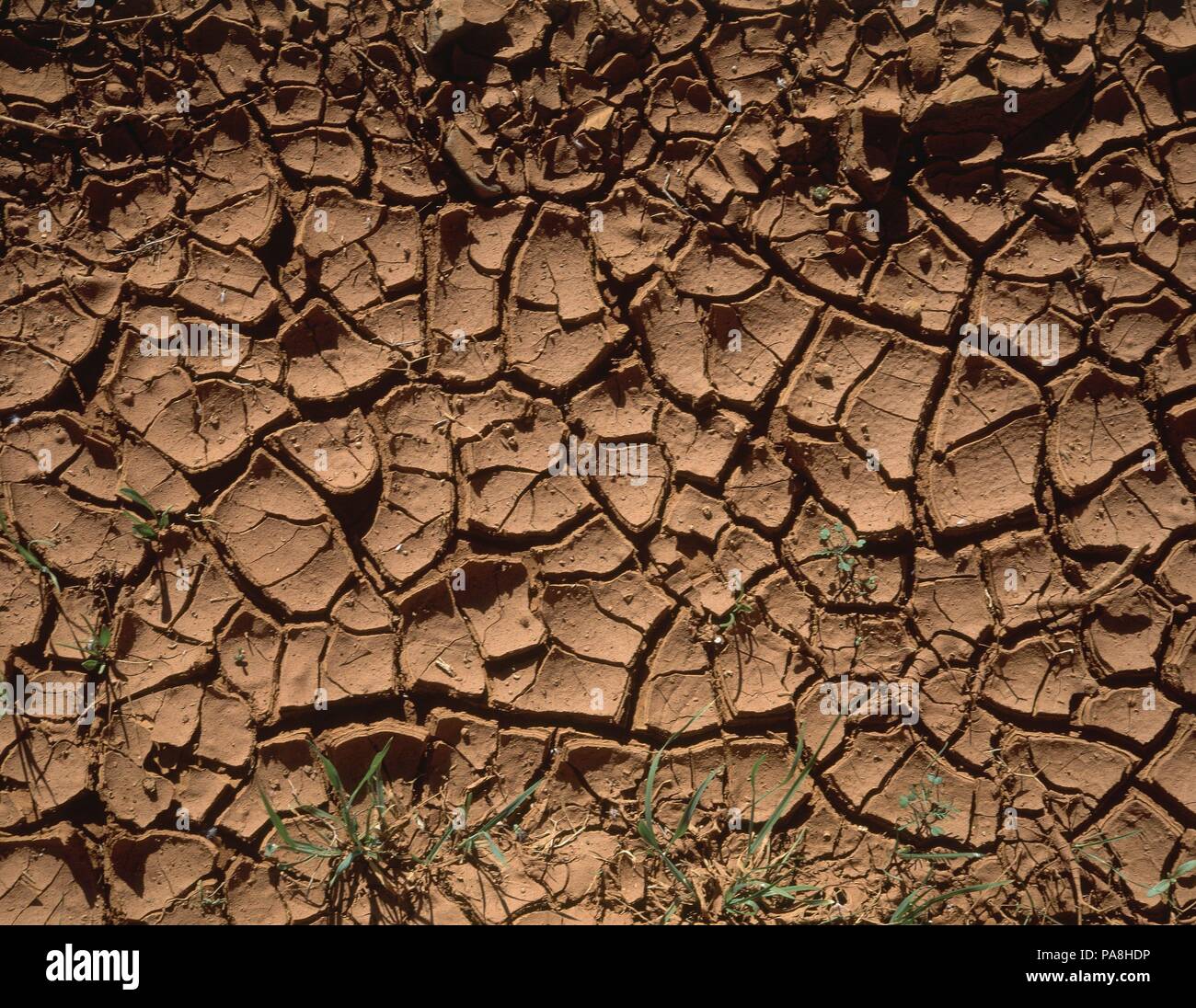 Tierra cuarteada hi-res stock photography and images - Alamy