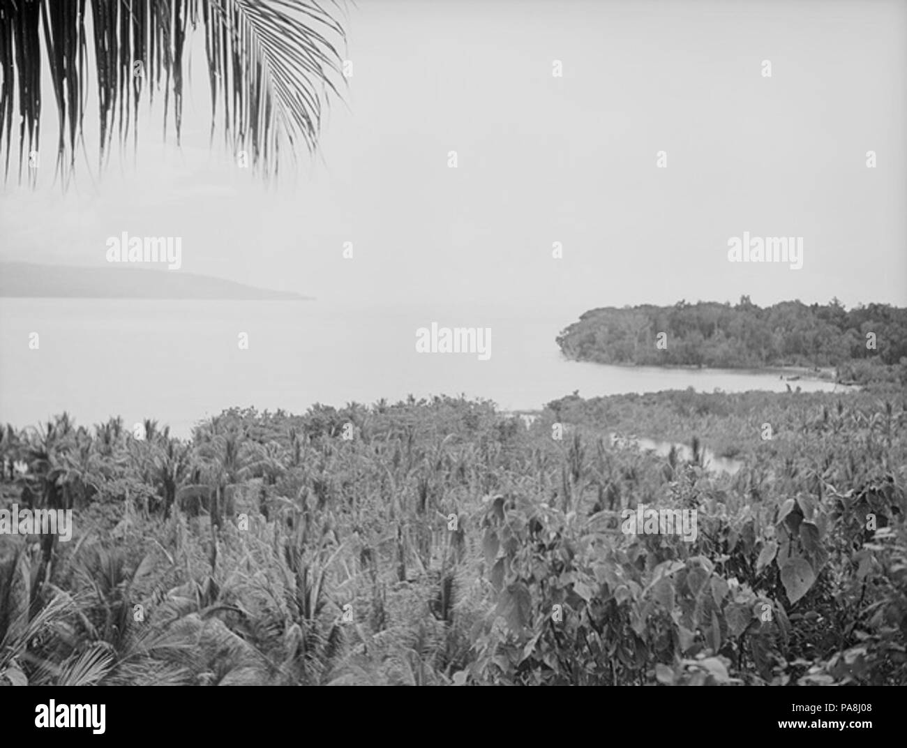 Henry reid hi-res stock photography and images - Alamy