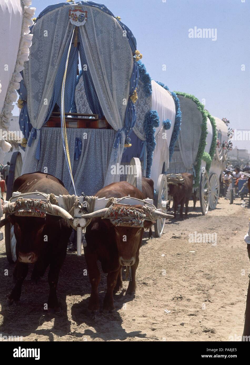 ROMERIA DEL ROCIO - CARRETAS EN PROCESION. Location: EXTERIOR, ROCIO ...