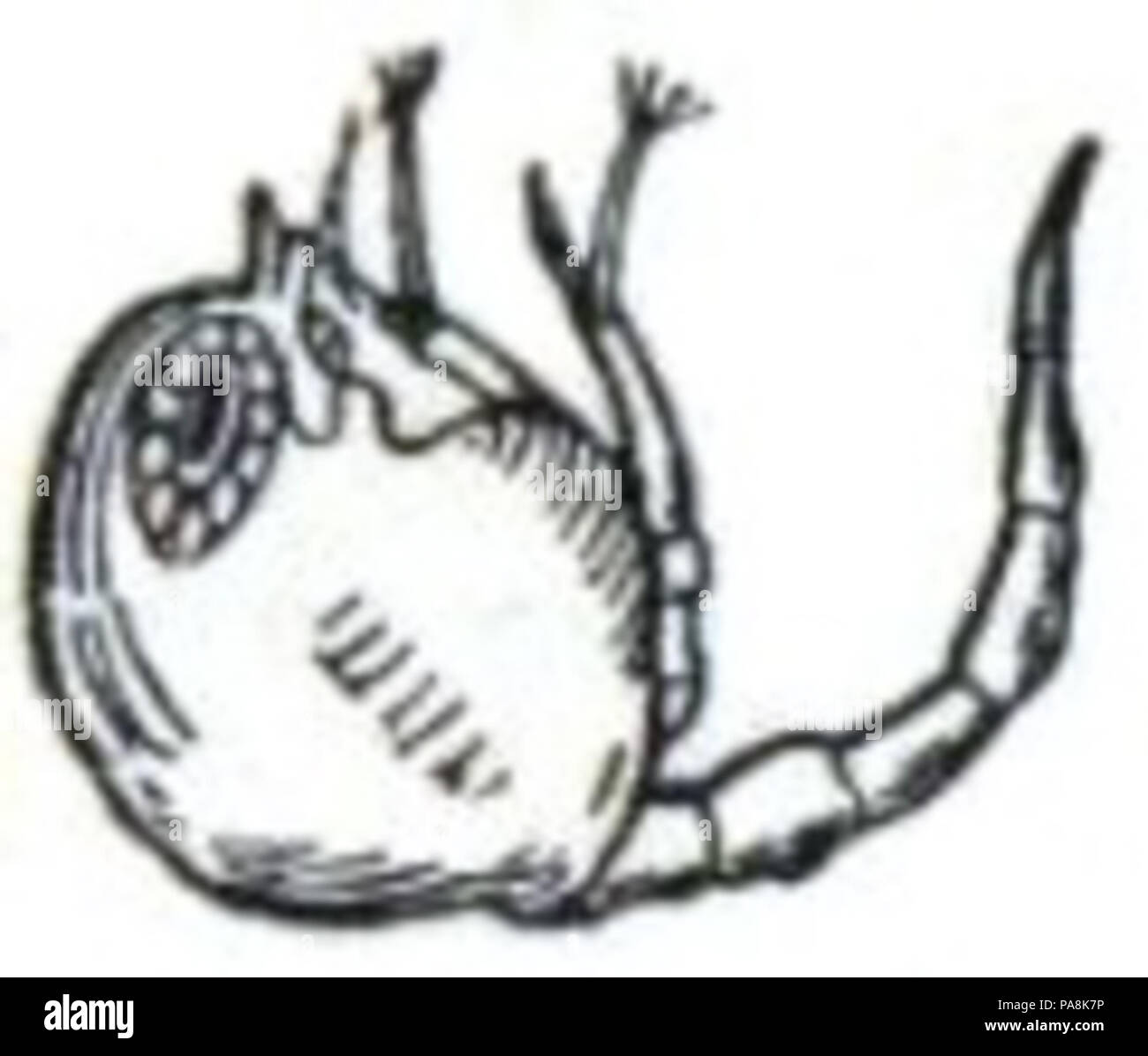 158a hi-res stock photography and images - Alamy