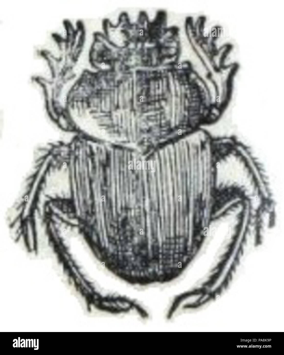 Script record Cut Out Stock Images & Pictures - Alamy