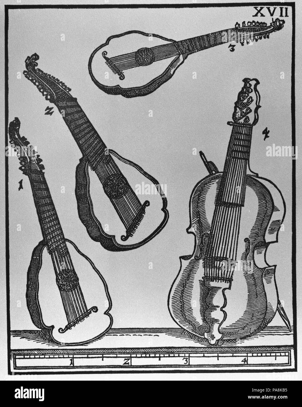 Documentar photography hi-res stock photography and images - Alamy