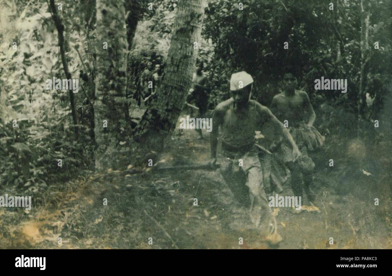 124 Indonesia Revolution Guerilla Stock Photo - Alamy