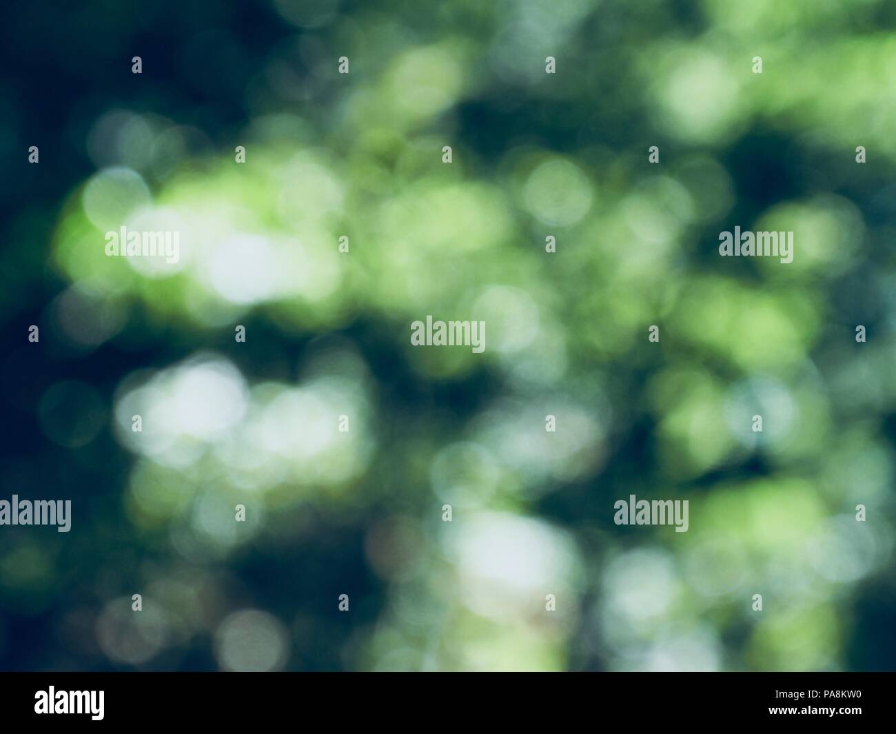 Leaf bokeh in the forest, missed focus Stock Photo - Alamy