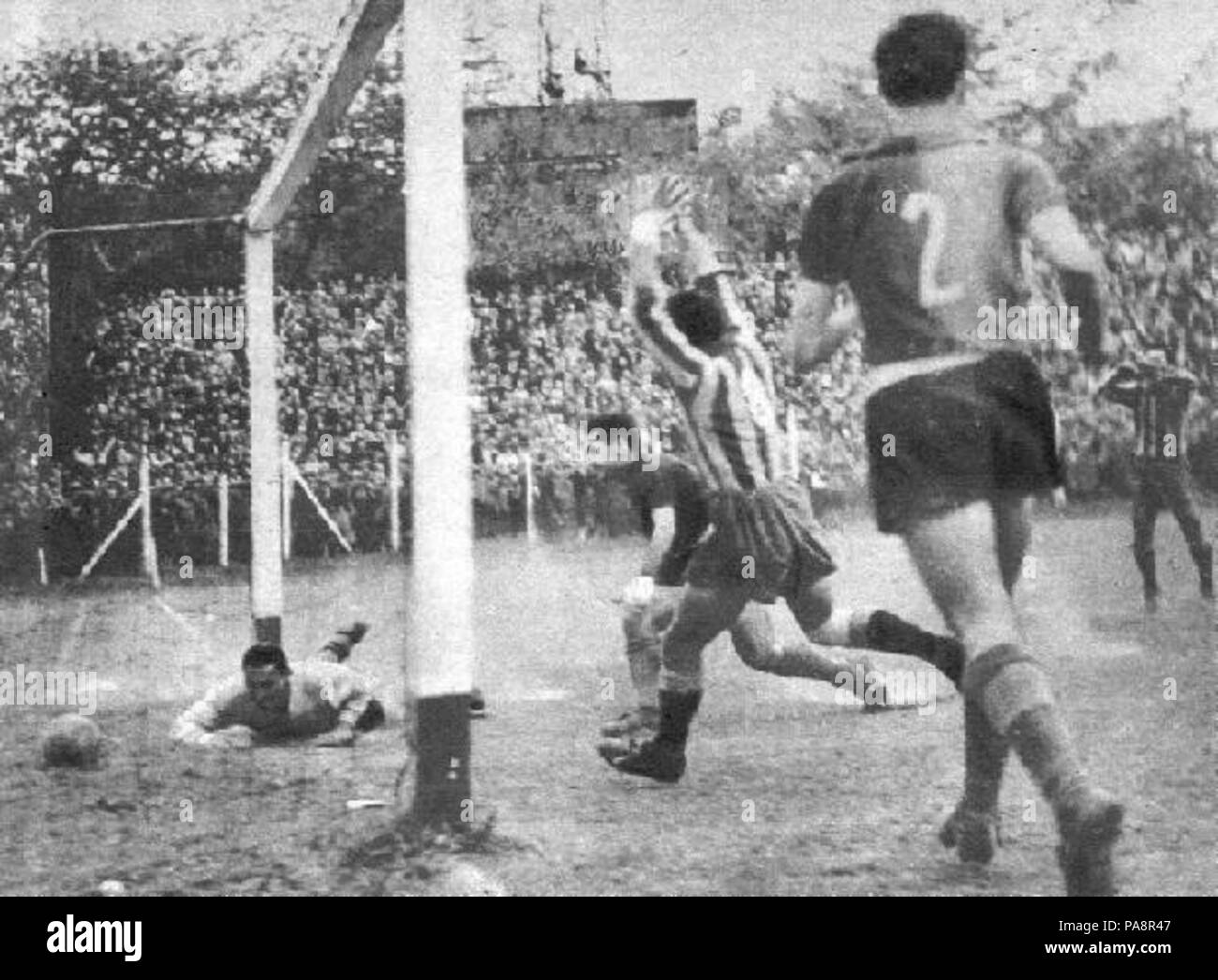 Gauna hi-res stock photography and images - Alamy