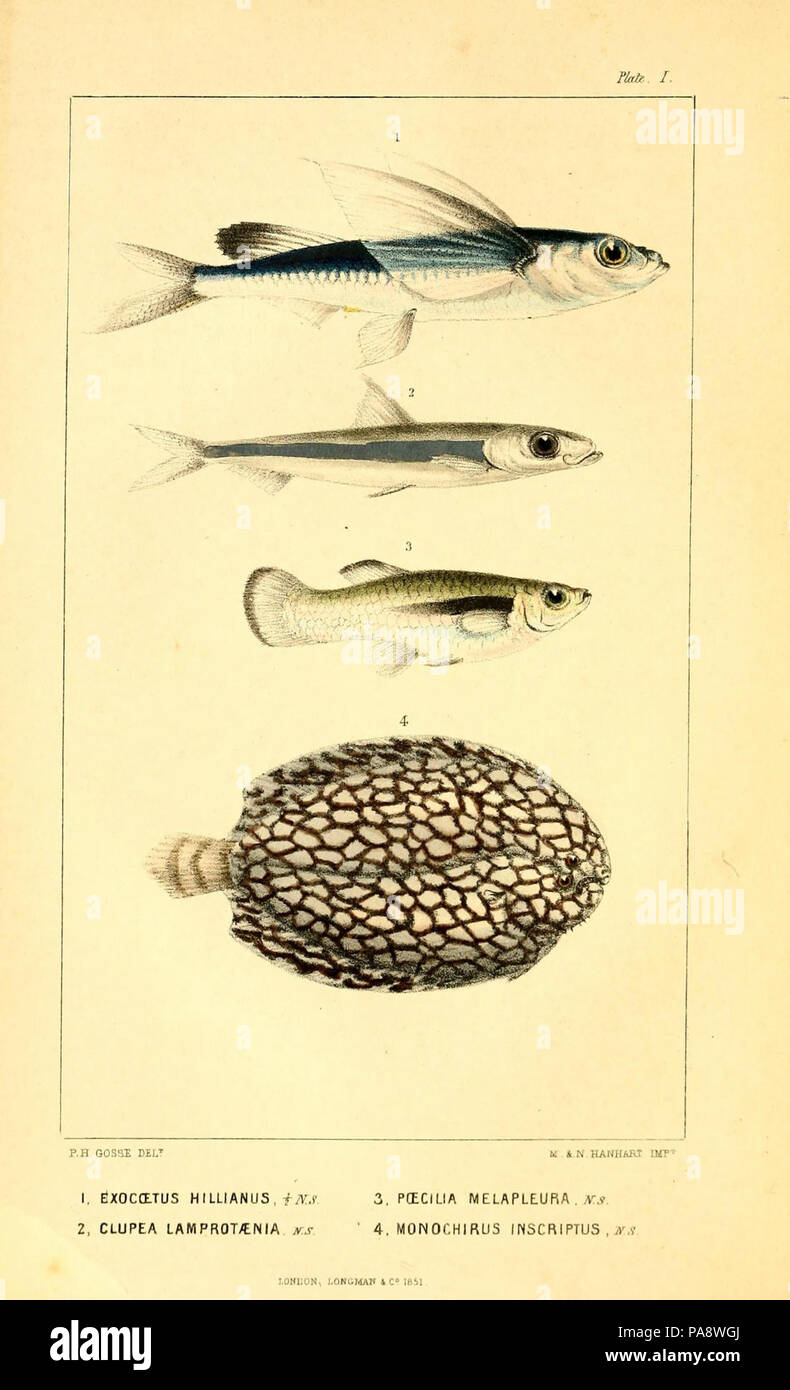 A naturalist's sojourn in Jamaica / London :Longman, Brown, Green and ...