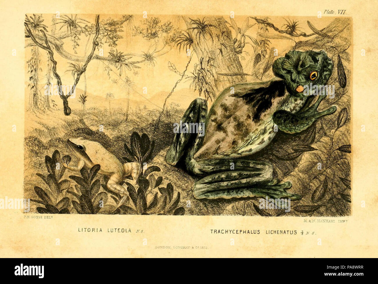 A naturalist's sojourn in Jamaica / London :Longman, Brown, Green and ...