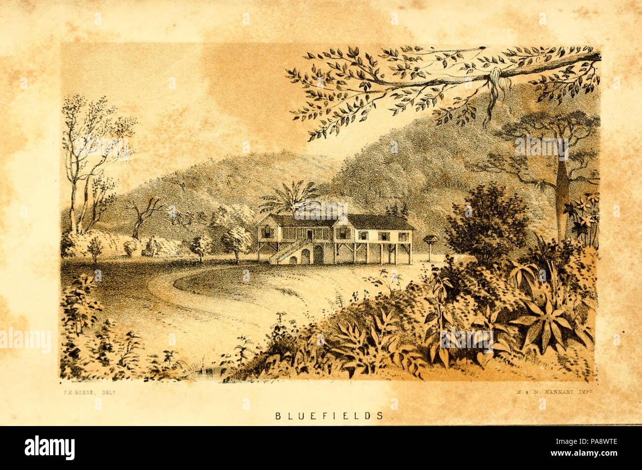 A naturalist's sojourn in Jamaica / London :Longman, Brown, Green and ...