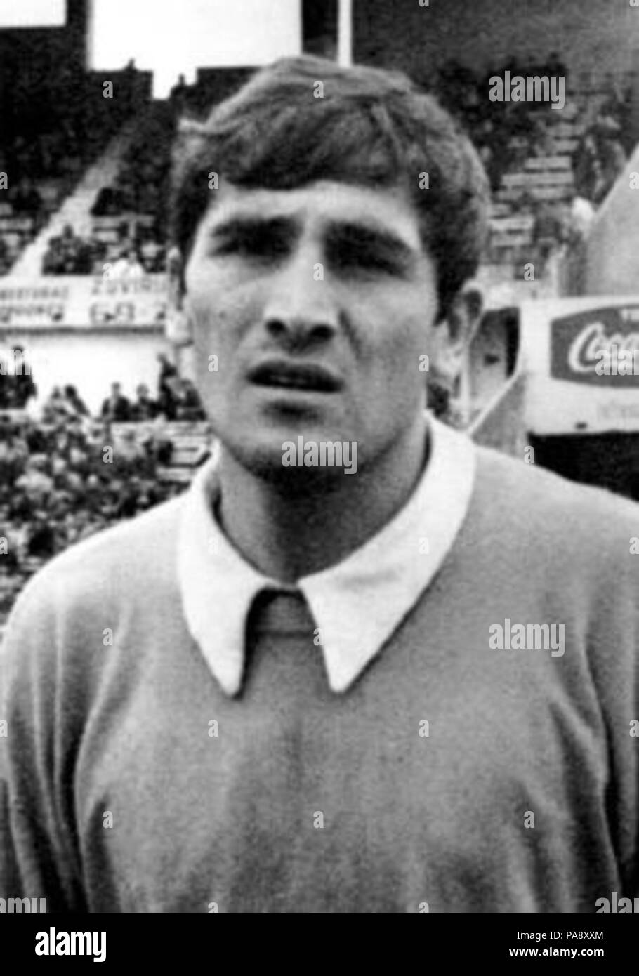 Anna Gatti's Instagram, Twitter & Facebook on IDCrawl