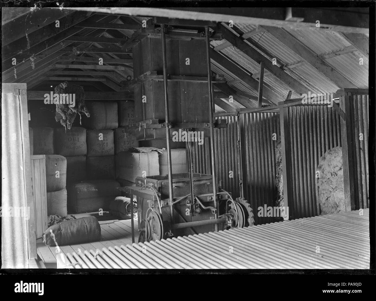 125 Interior of the woolshed on the Mendip Hills sheep farm, Hurunui ...