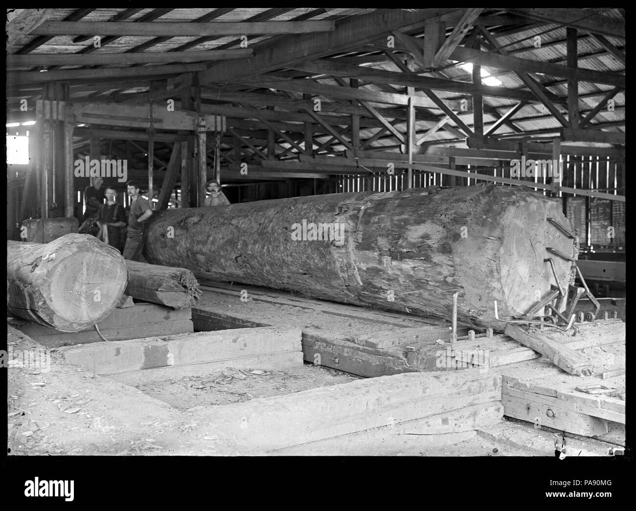 Broken log Black and White Stock Photos & Images - Alamy