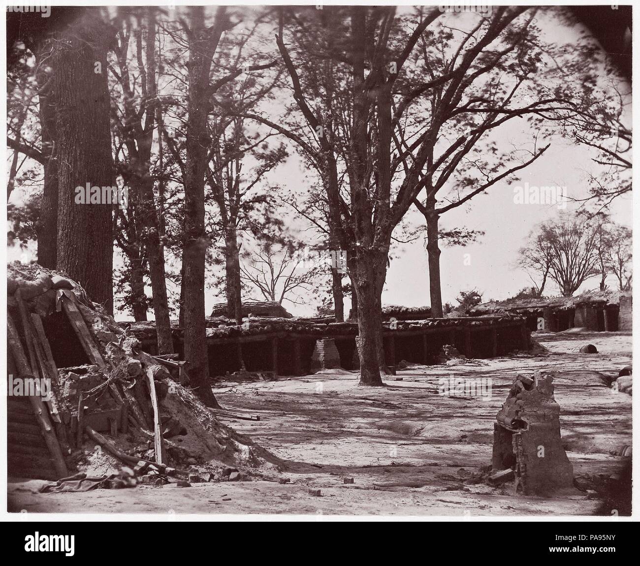 Timothy steadman hi-res stock photography and images - Alamy