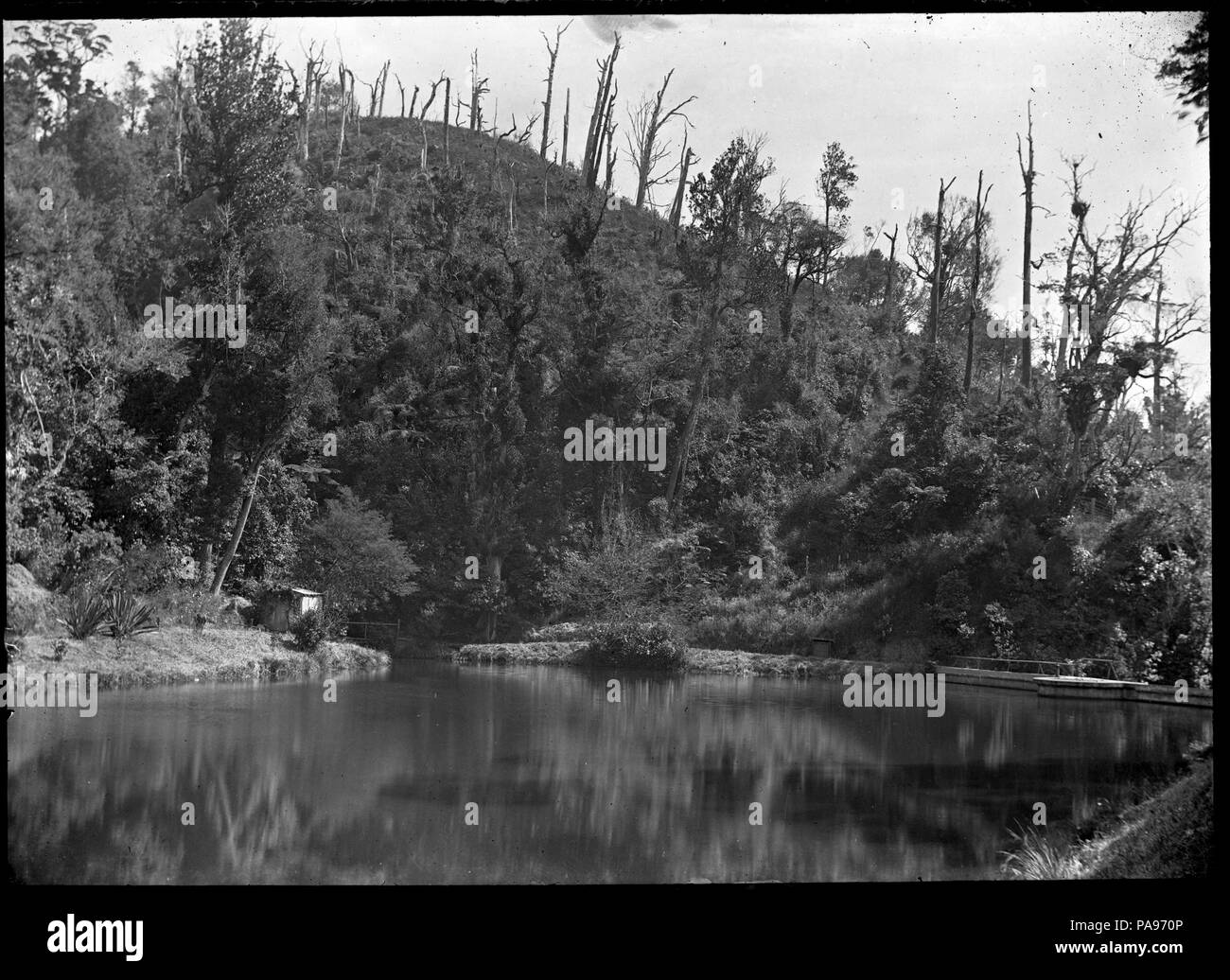 Korokoro hi-res stock photography and images - Alamy