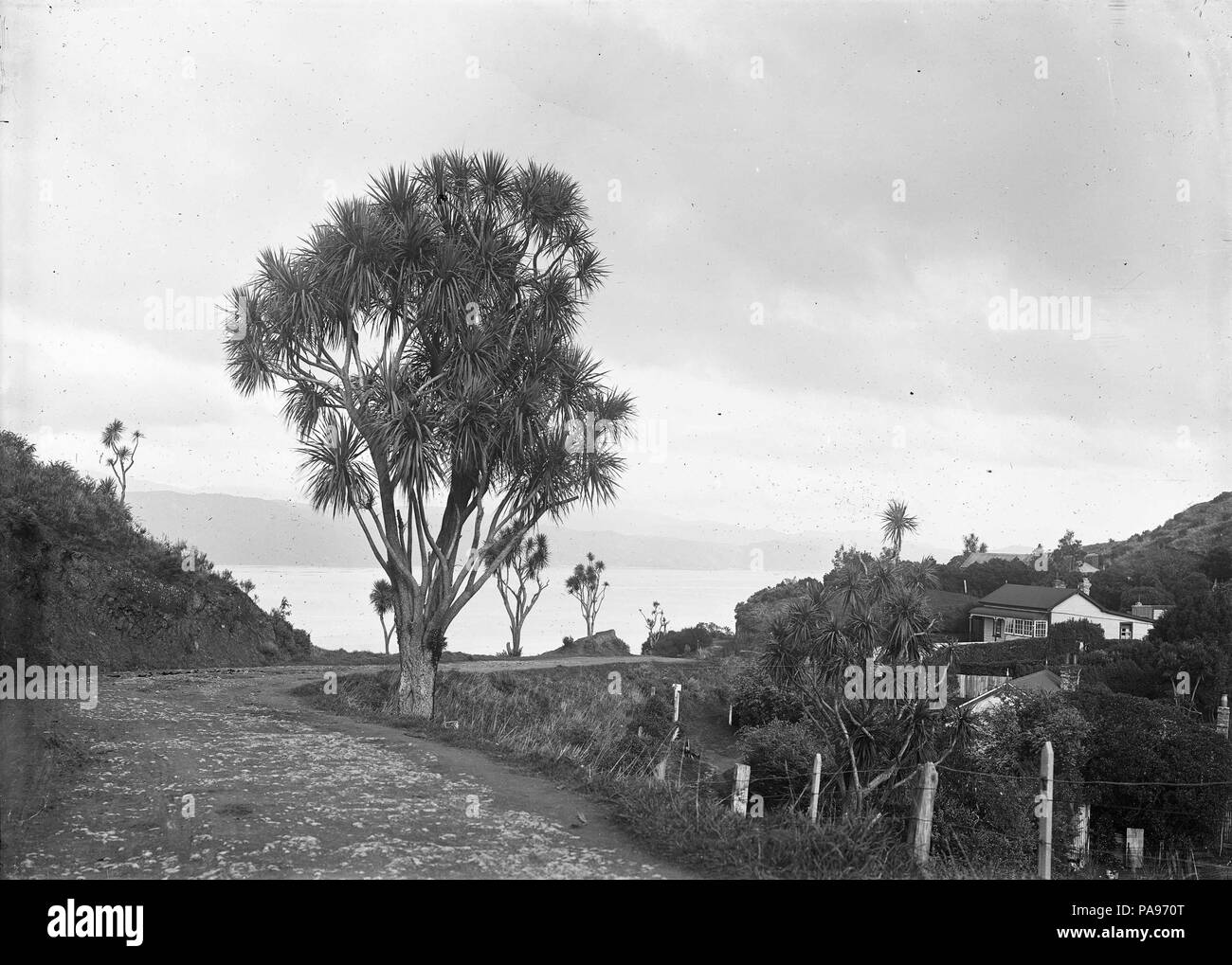 Korokoro new zealand hi-res stock photography and images - Alamy