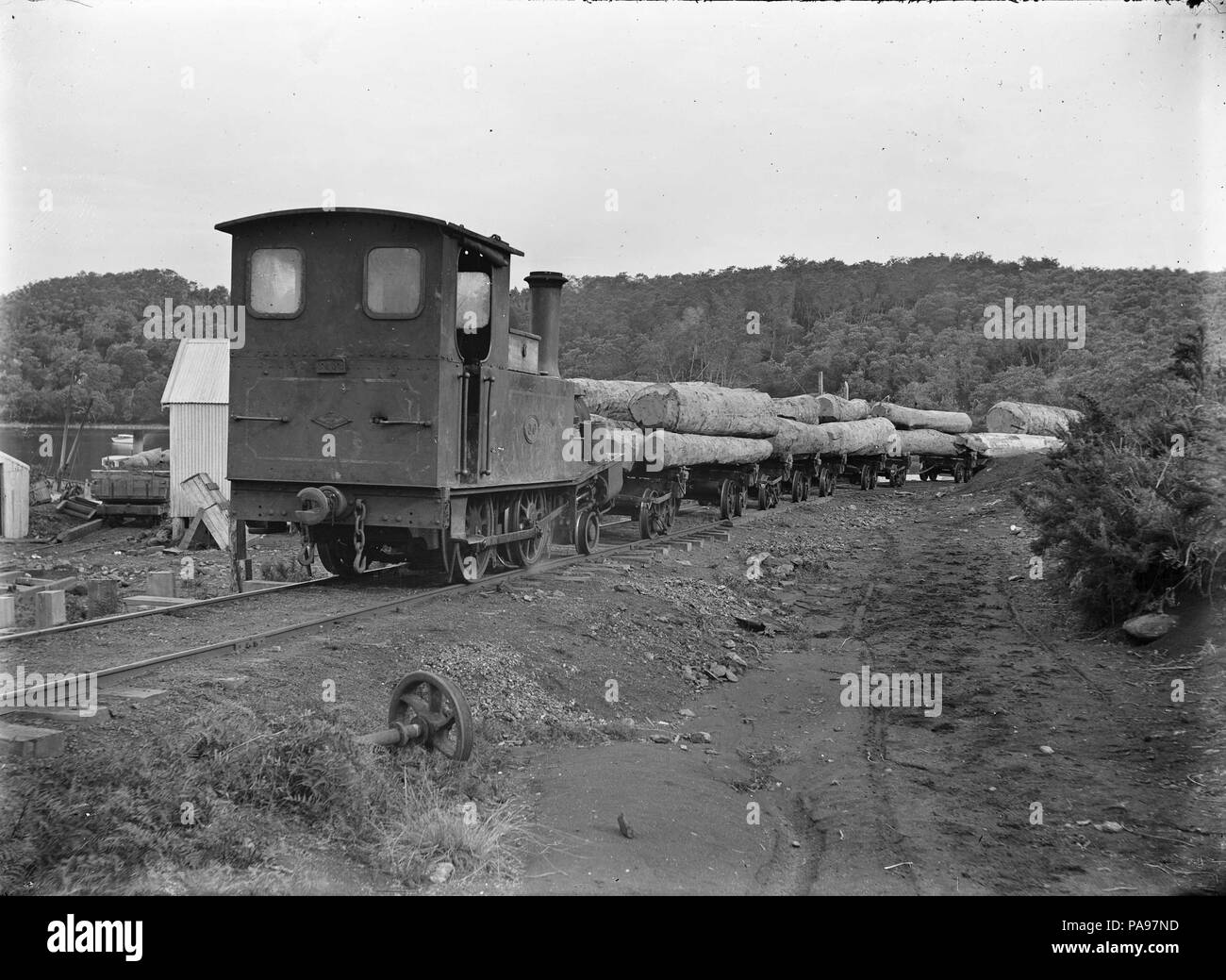 146 Kauri Timber Company's timber train at Waipapa, laden with logs ...