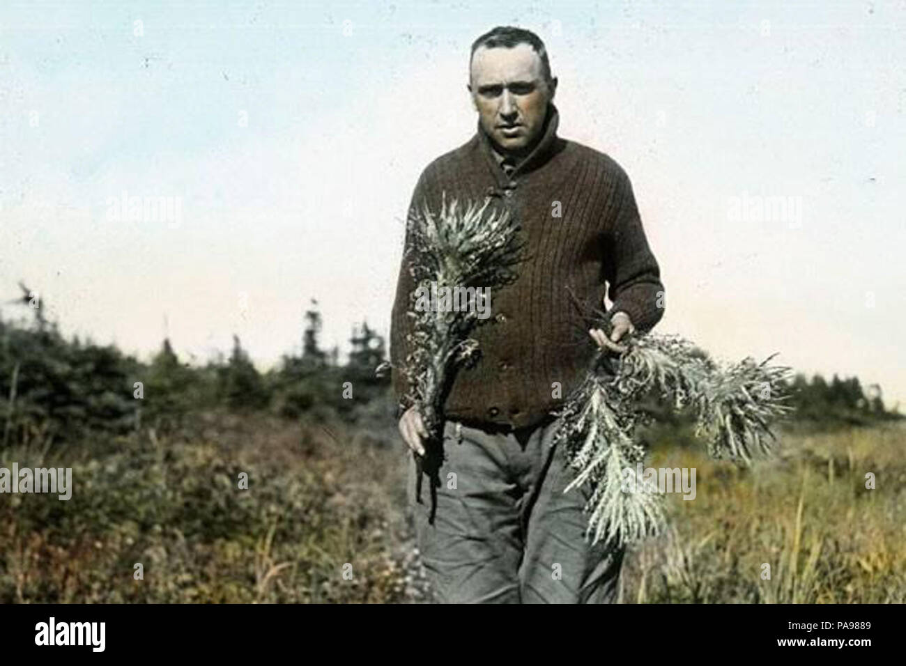 Frere marie victorin hi-res stock photography and images - Alamy