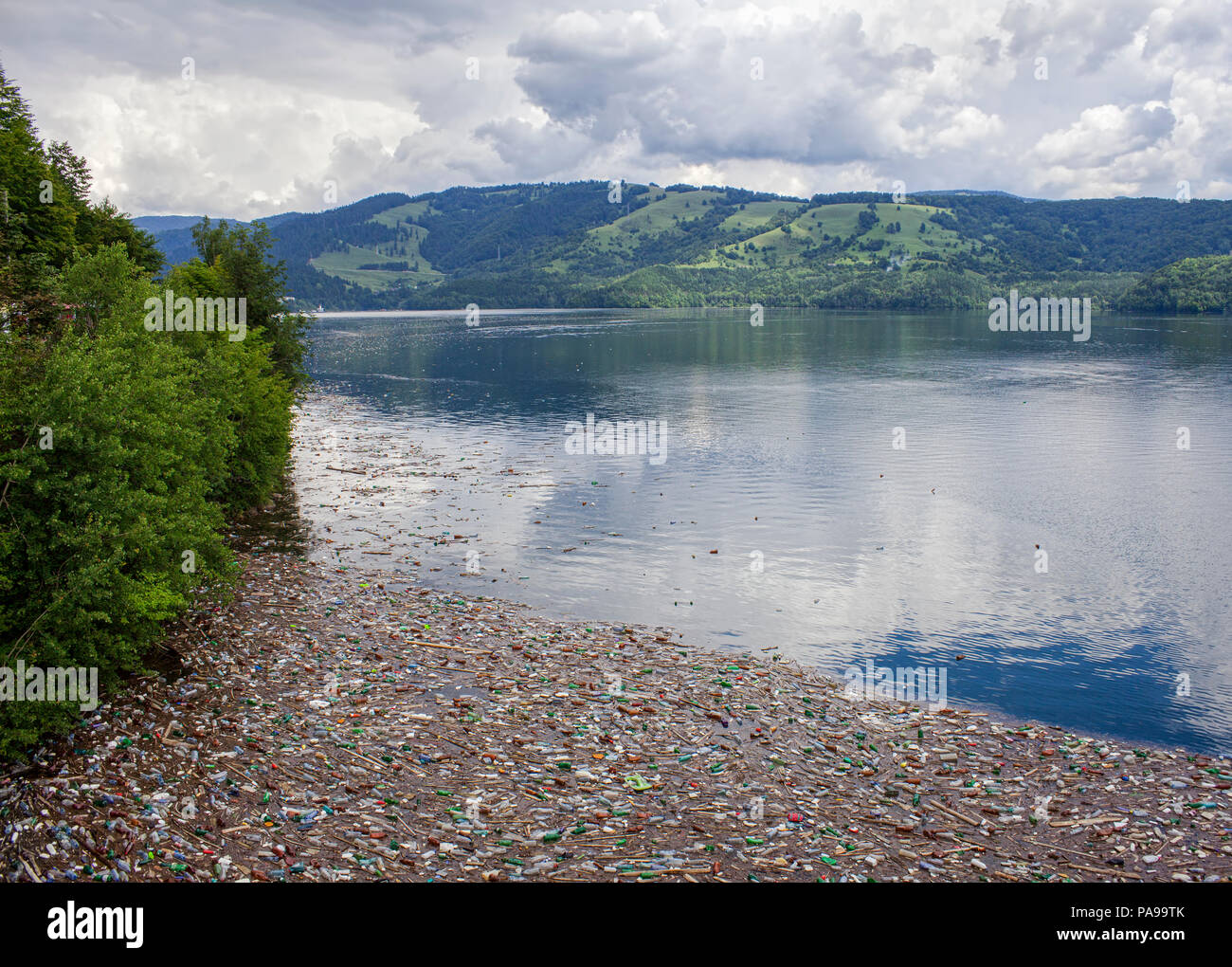 lake pollution with plastic bags and toxic waste in the water Stock ...