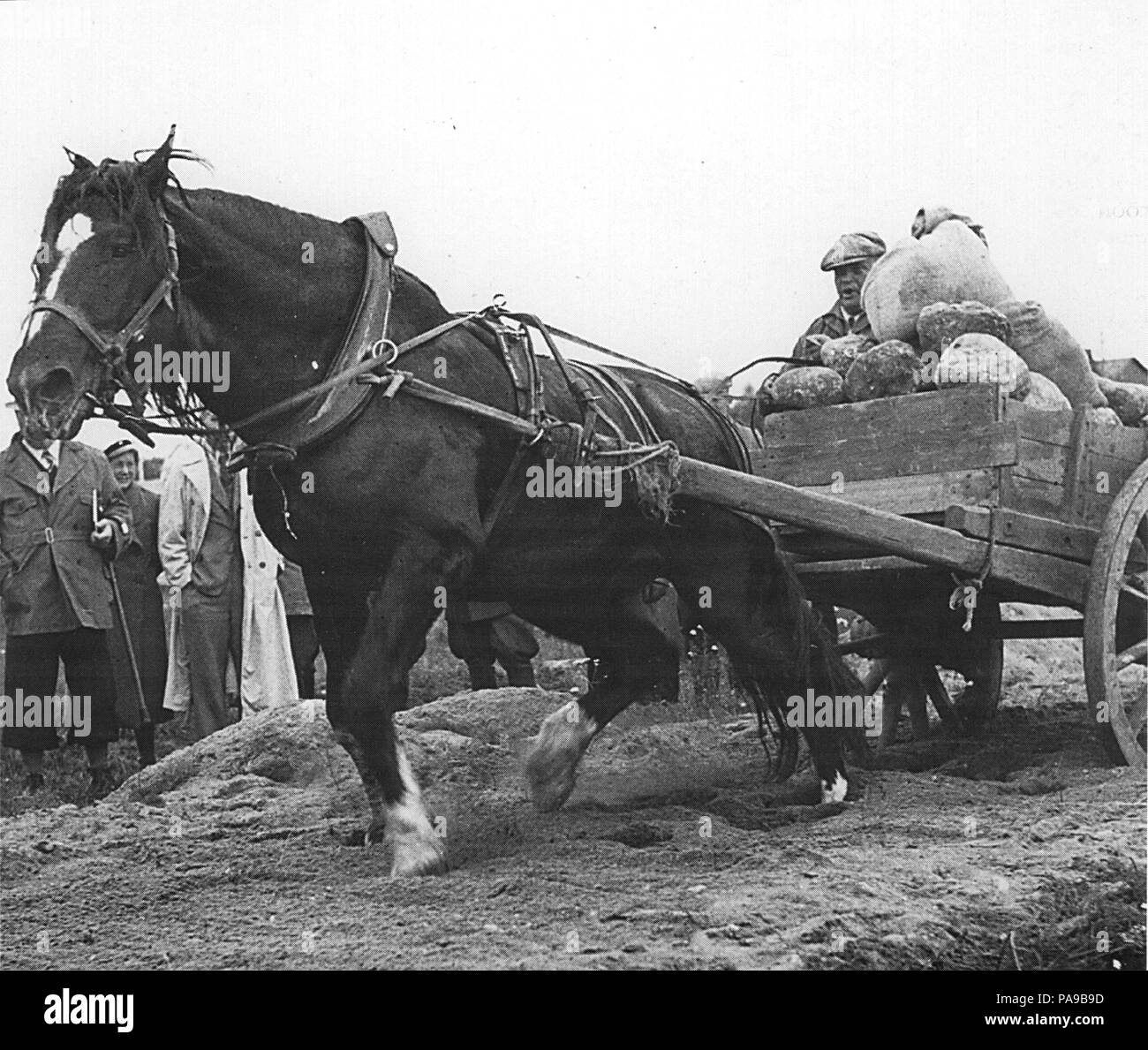 Murron hi-res stock photography and images - Alamy