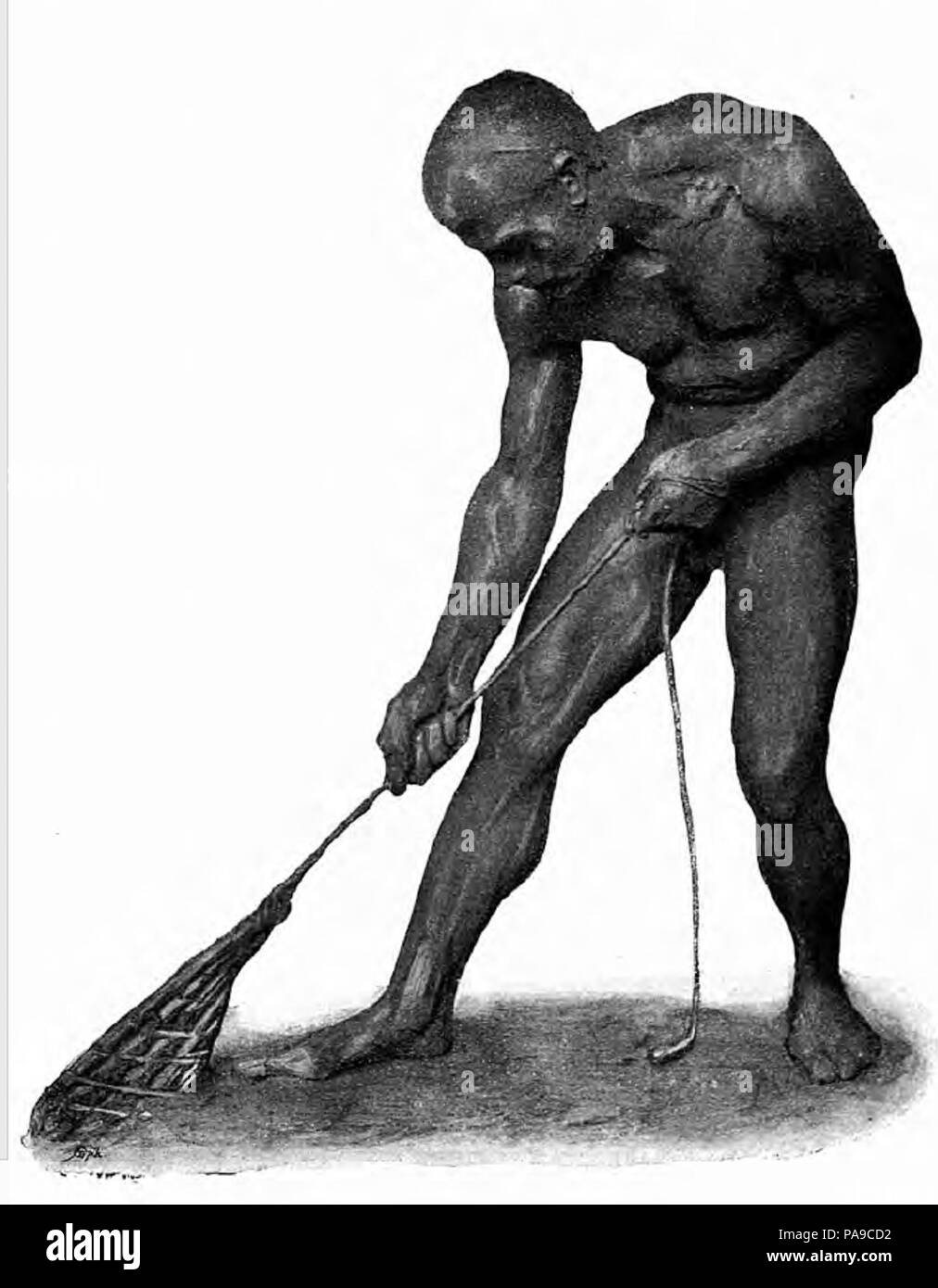 Spathe hi-res stock photography and images - Alamy