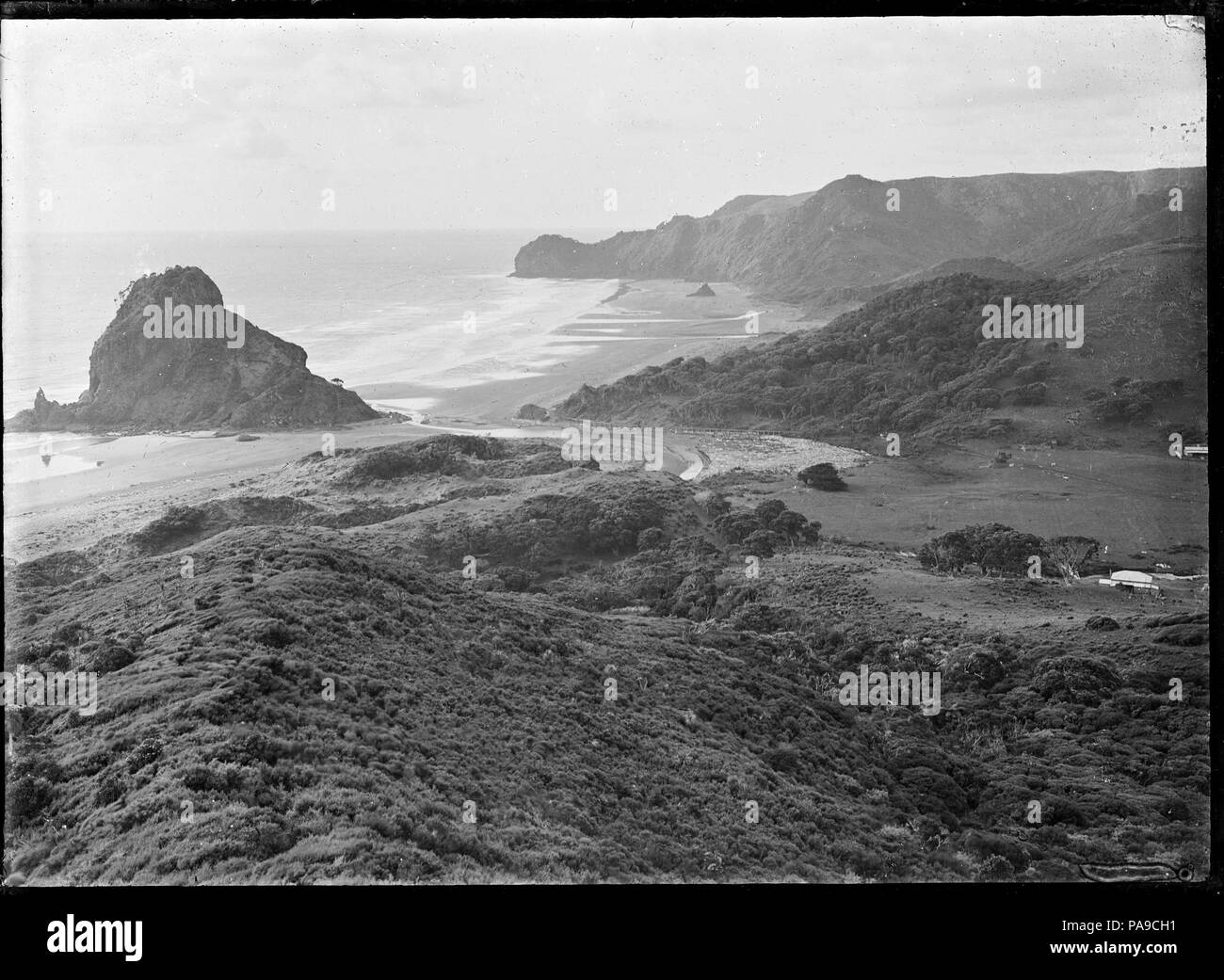 Piha beach auckland Black and White Stock Photos & Images - Alamy