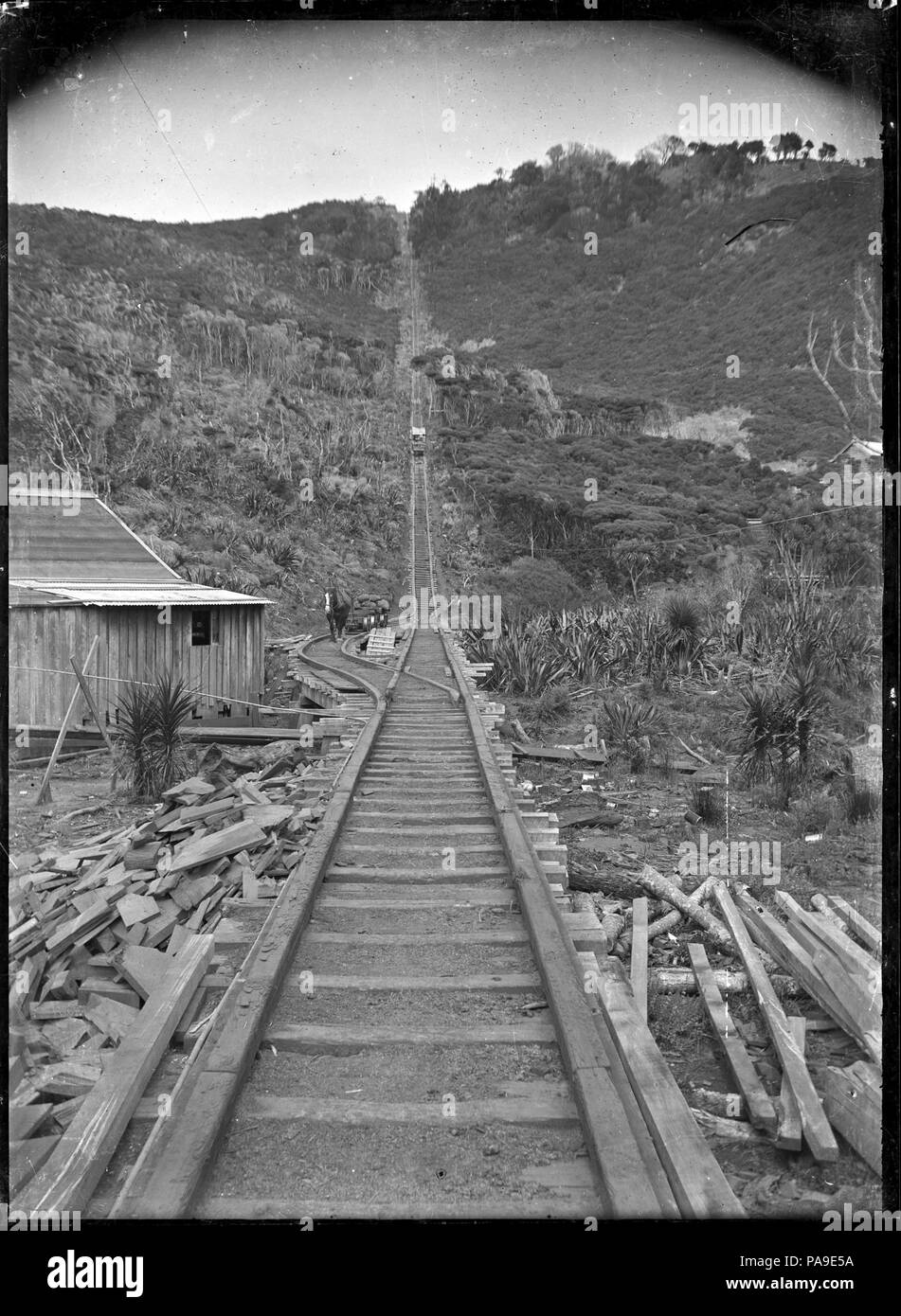 199 Piha tram line, used for timber transportation ATLIB 252502 Stock ...