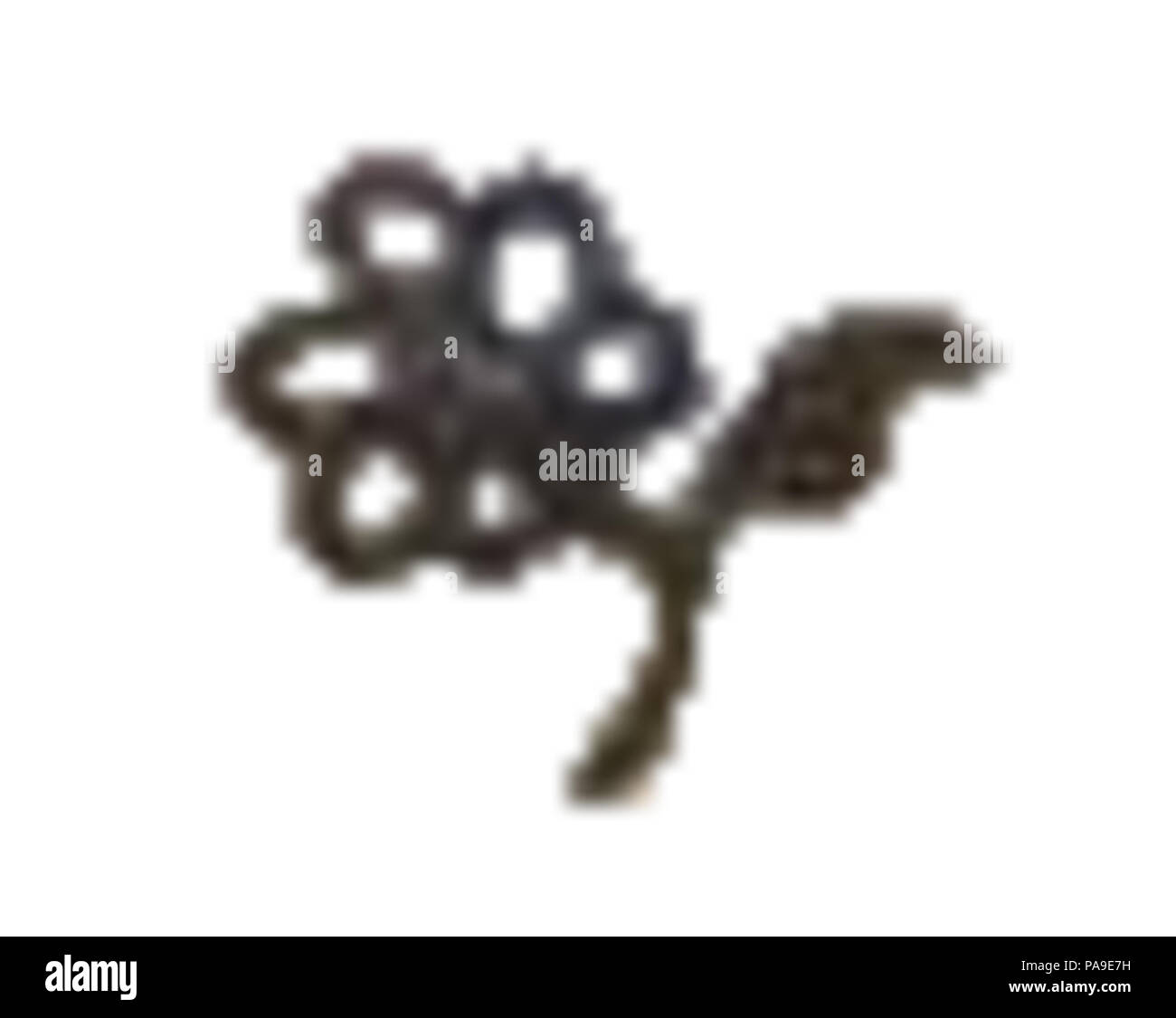 Lambert historical Cut Out Stock Images & Pictures - Alamy