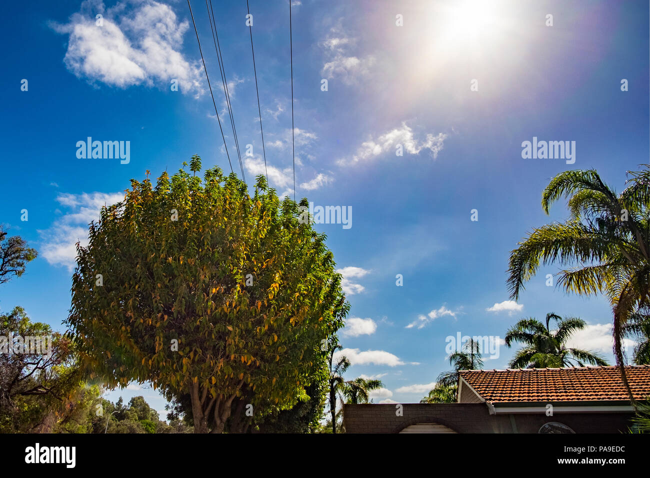 Danger electric wires hi-res stock photography and images - Alamy