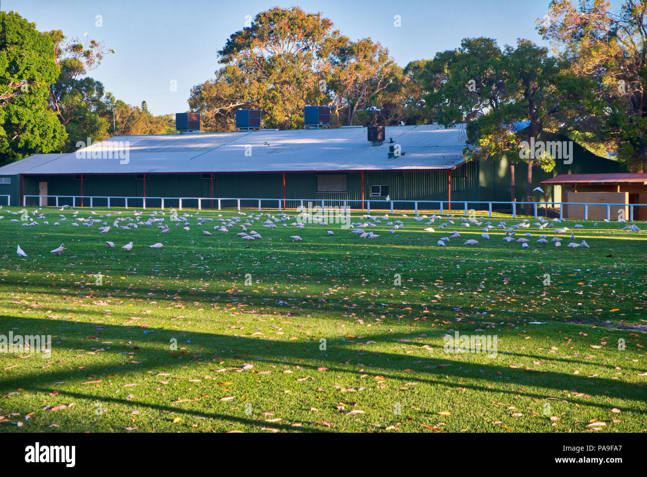Wanneroo showgrounds hi-res stock photography and images - Alamy