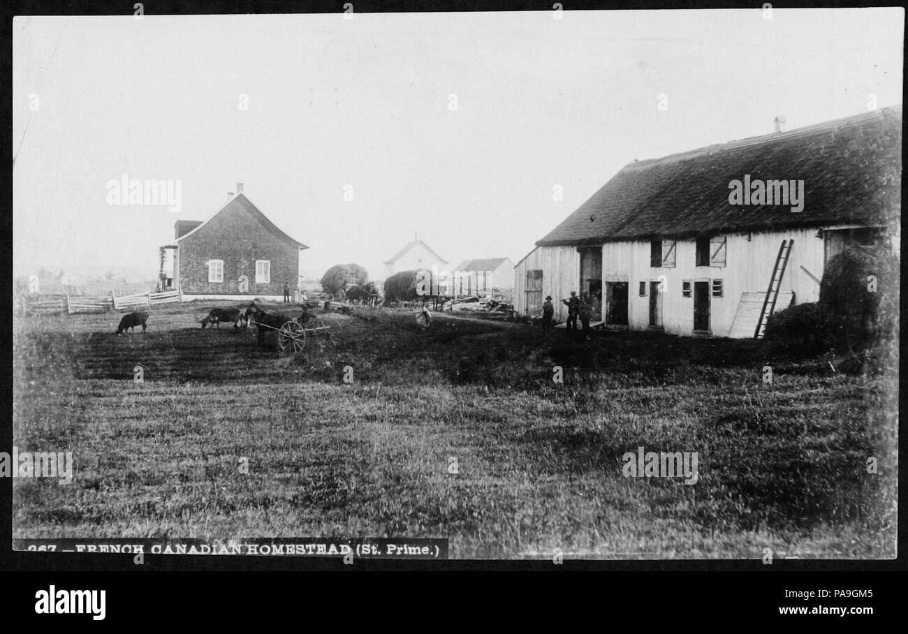 Prime collection Black and White Stock Photos & Images - Alamy