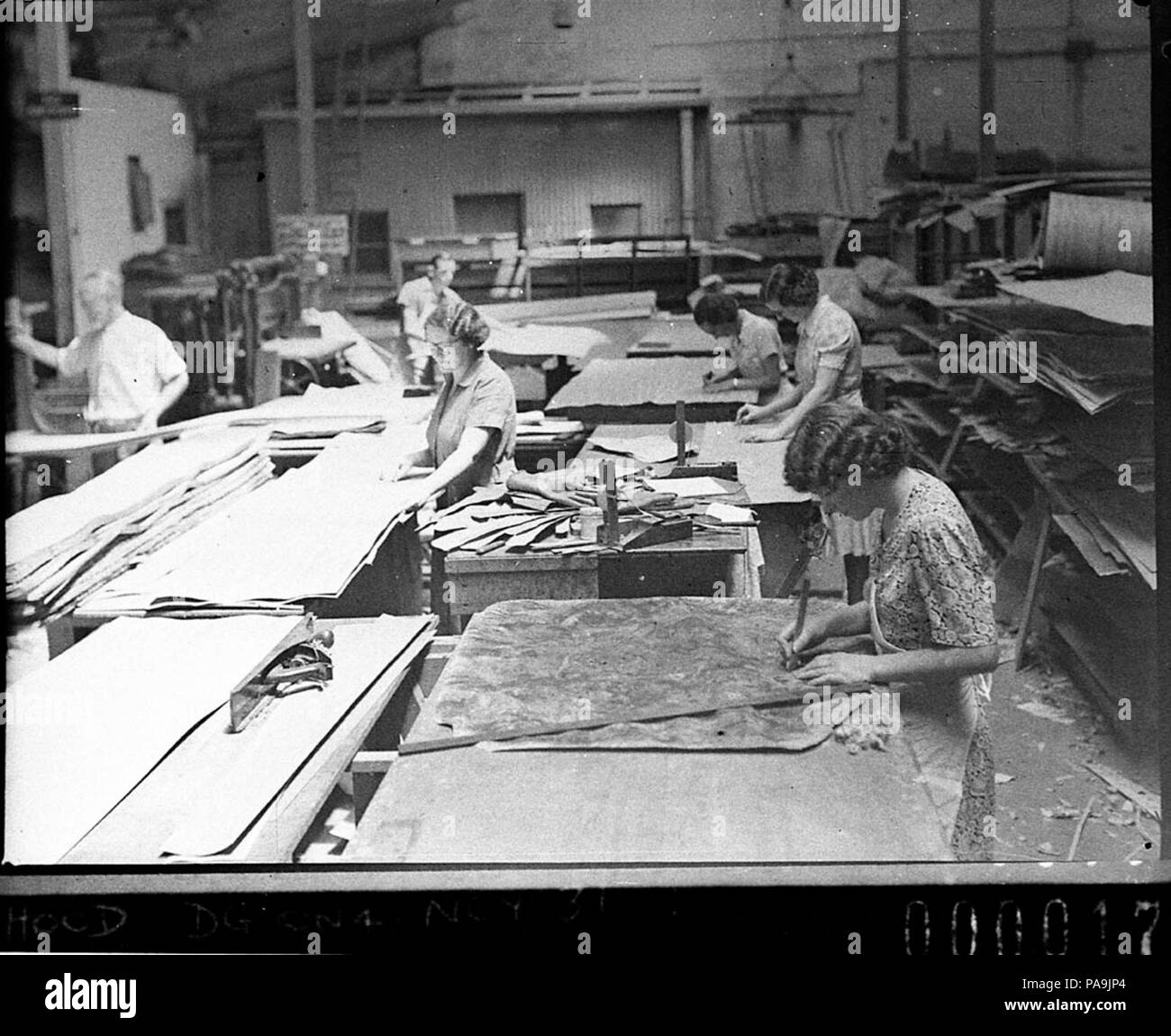 238 SLNSW 12543 The veneer assembly and selection tables Frederick ...