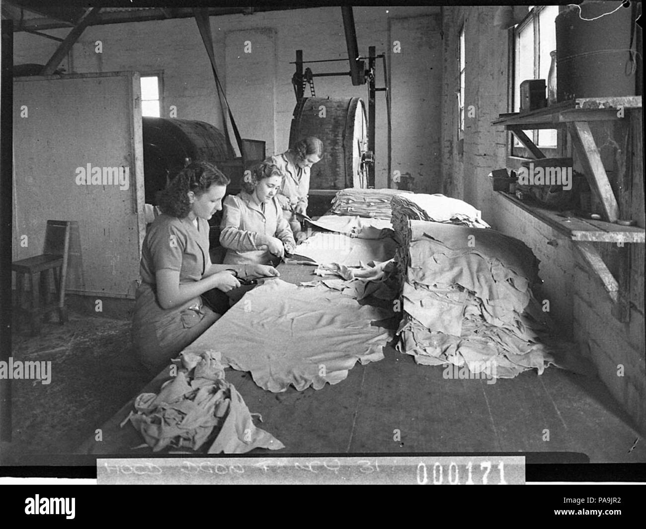 Australian wool hi-res stock photography and images - Alamy