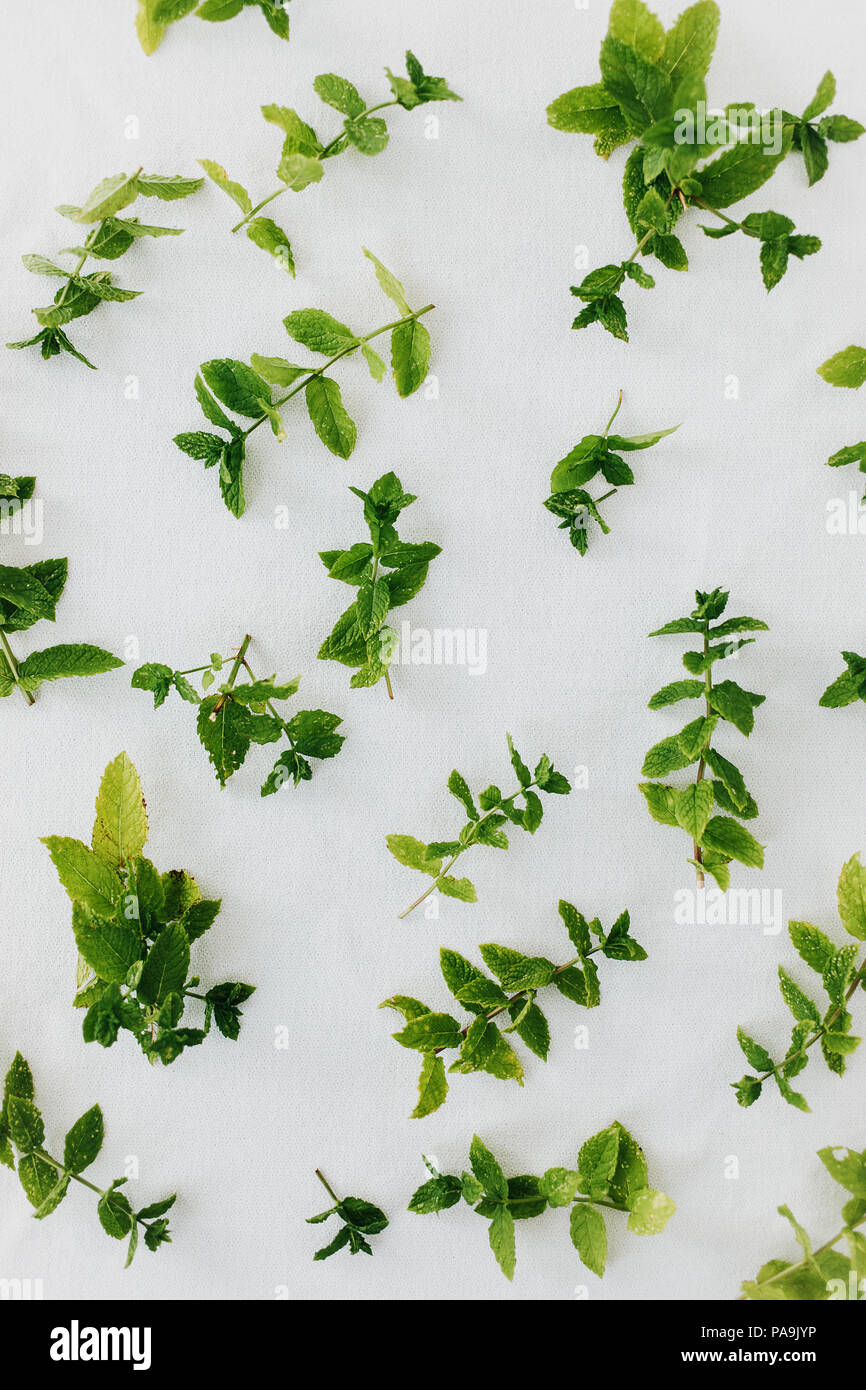 Drying leaves herbal tea hi-res stock photography and images - Alamy