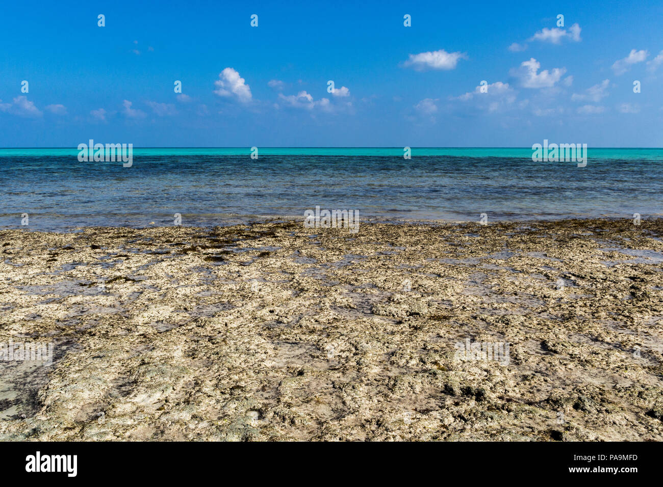 Djibouti moucha island hi-res stock photography and images - Alamy