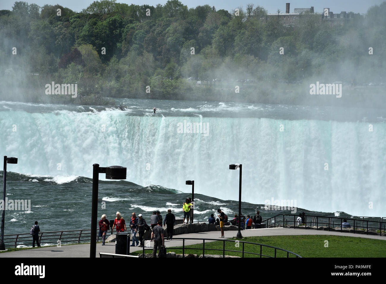 Niagara falls from terrapin hi-res stock photography and images - Alamy