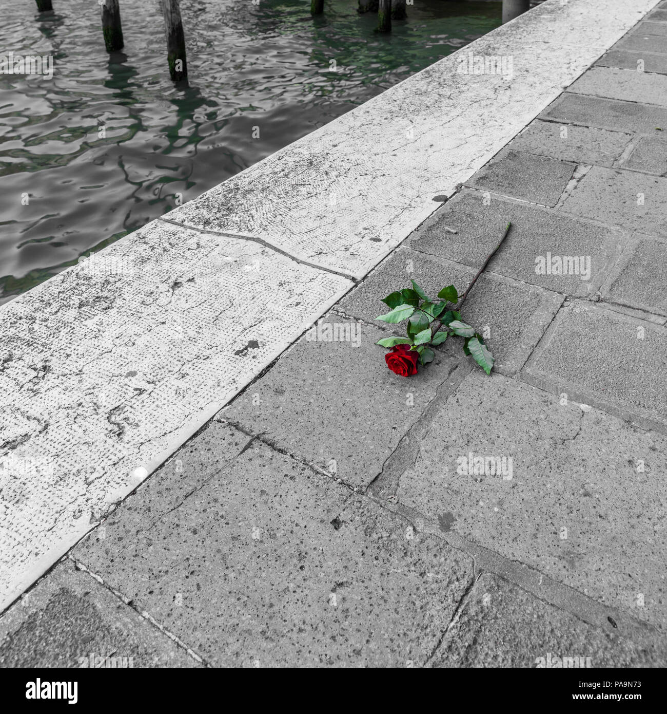 Rose decoration canal hi-res stock photography and images - Alamy