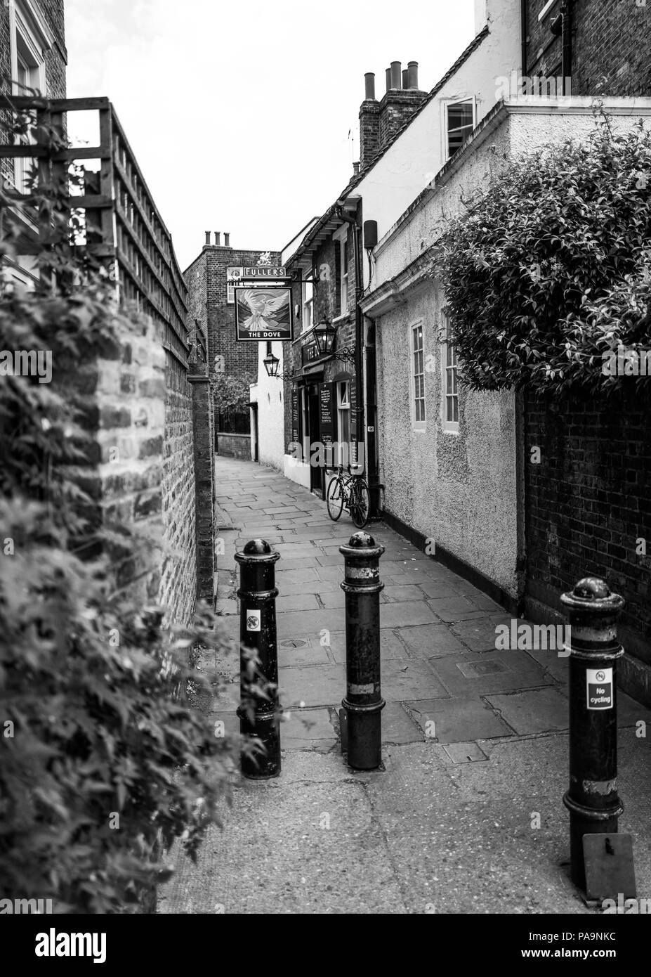 Chiswick mall and embankment leading from hi-res stock photography and ...