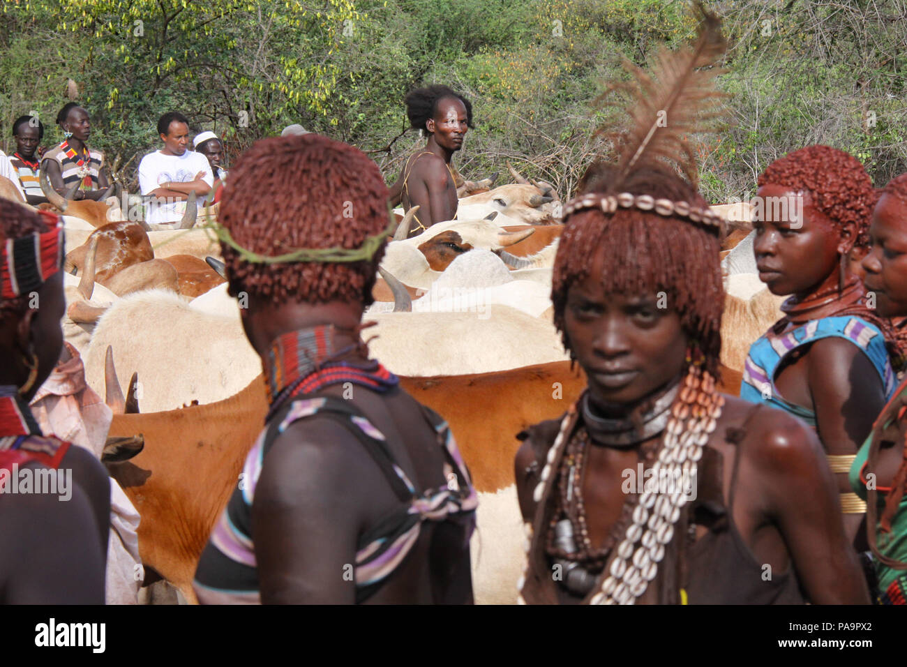 Hamer boy during Bull Jumping ceremony (Ukuli ritual) by Hamer Hamar ...