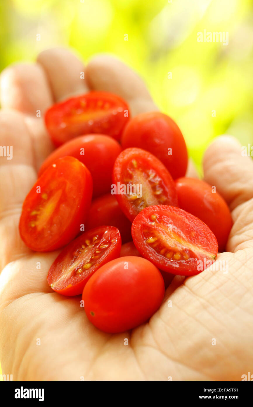 Vegetation tomatoes hi-res stock photography and images - Alamy