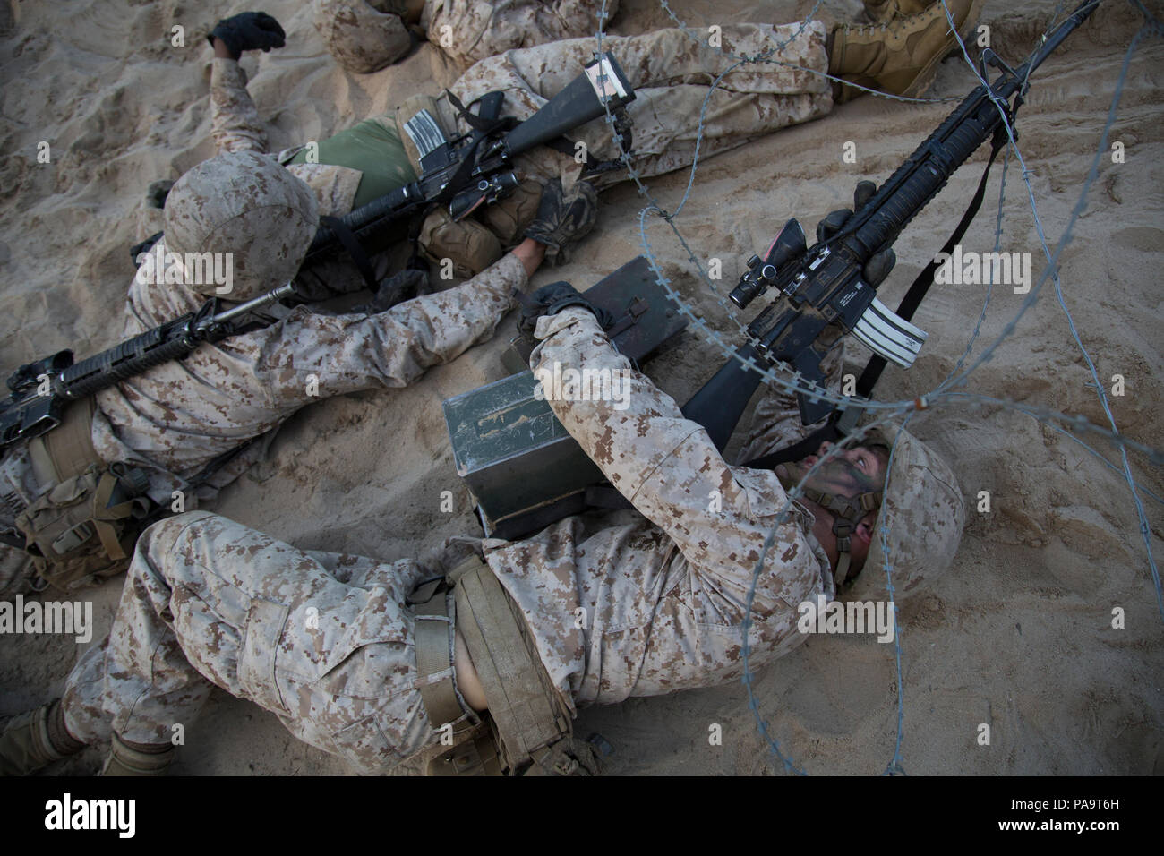 U.S. Marine Corps Rct. Marco Dominguez, Company D., 1st Recruit ...