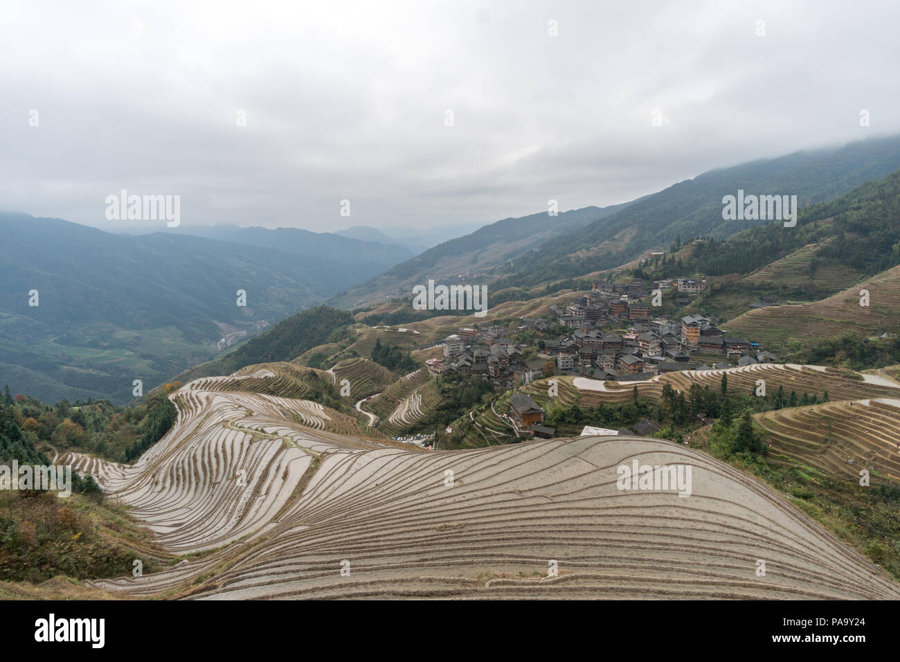 rice terraced fields of Wengjia longji Longsheng Hunan China Stock ...