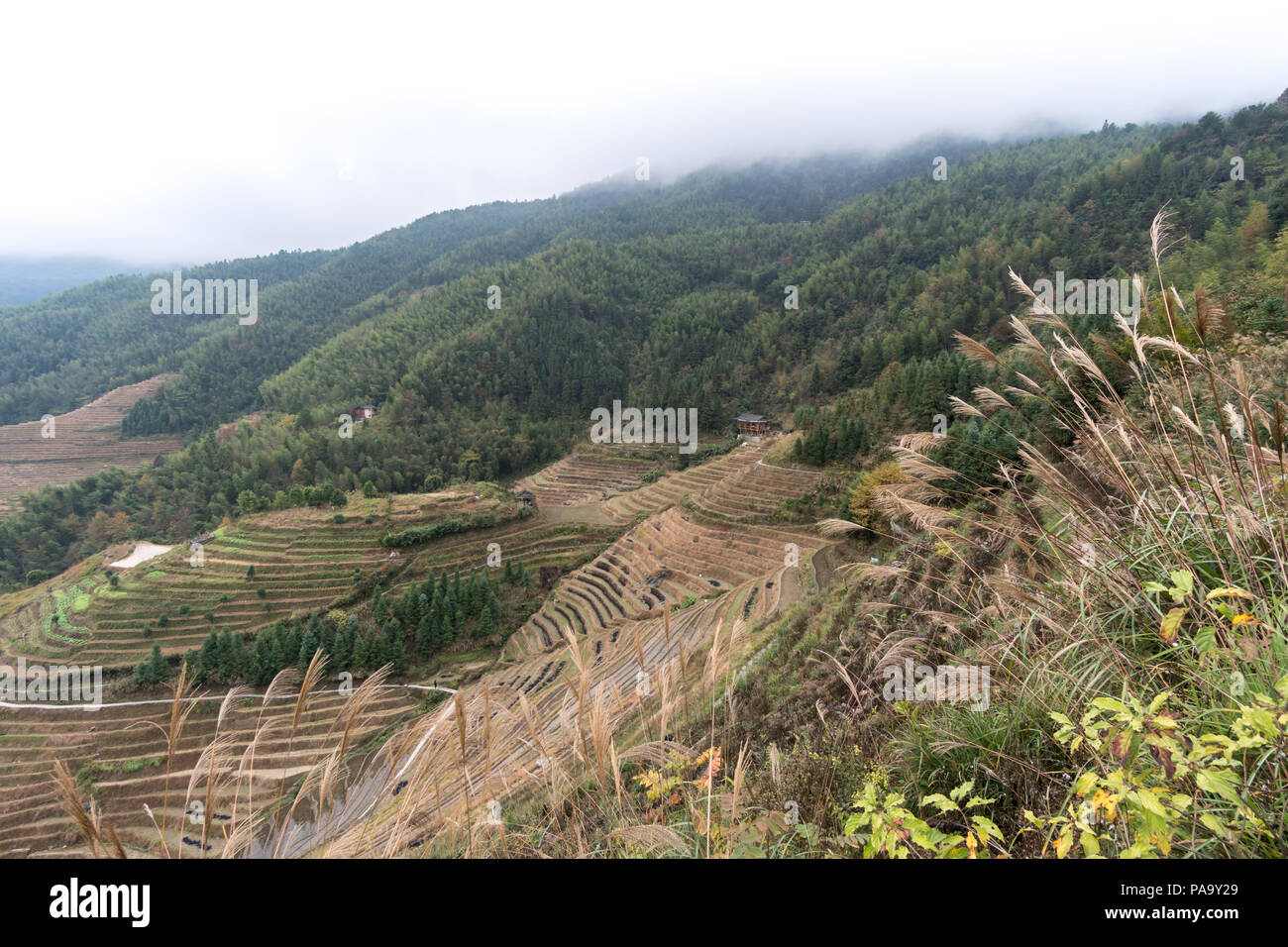 Pingan rice terrace hi-res stock photography and images - Alamy