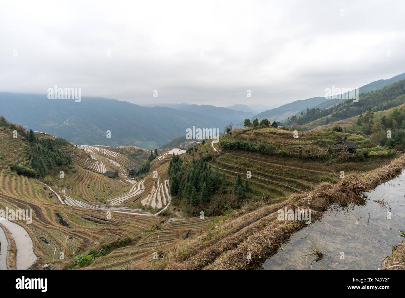 Hunan rice field hi-res stock photography and images - Alamy