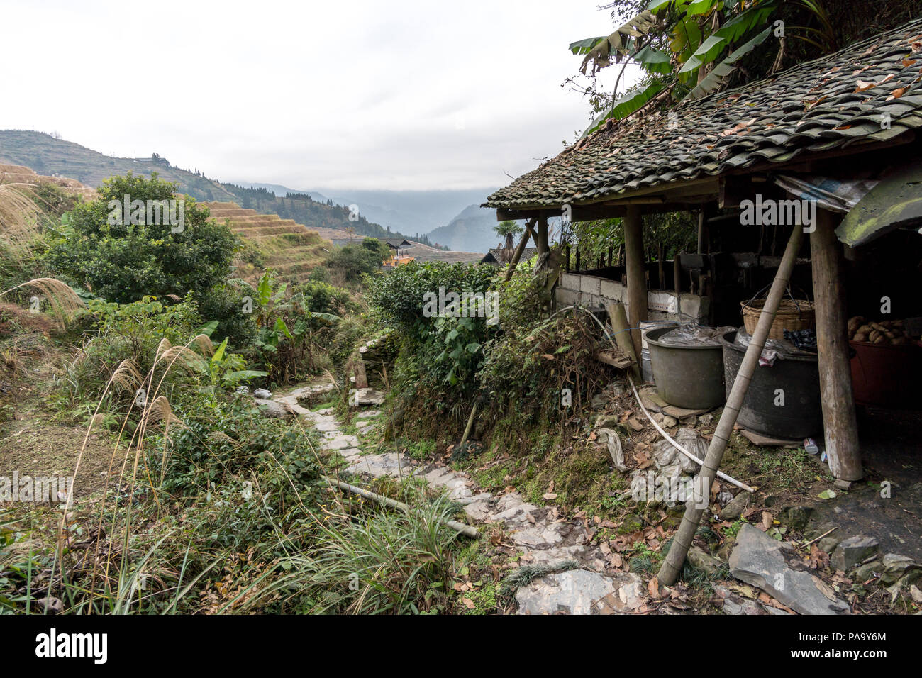 Pingan rice terrace hi-res stock photography and images - Alamy