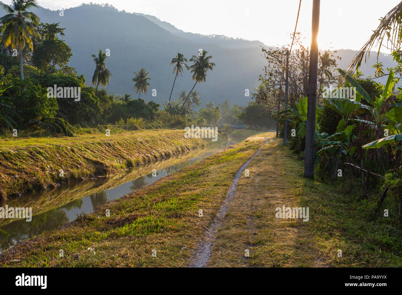 Canal off Sungai Rusa stream, west coast of Penang, Malaysia Stock ...