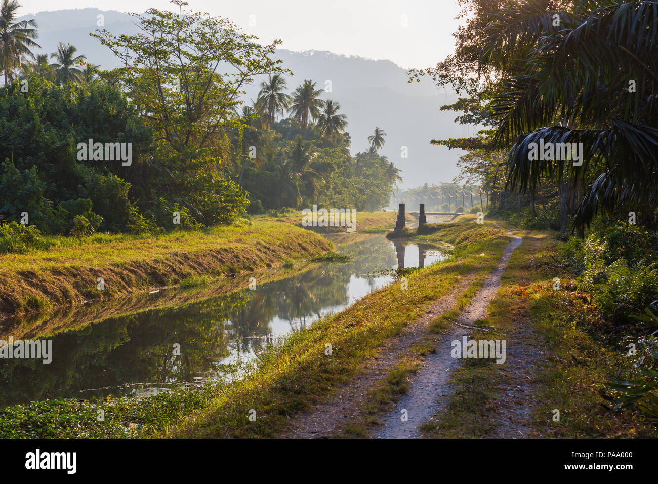 Canal off Sungai Rusa stream, west coast of Penang, Malaysia Stock ...