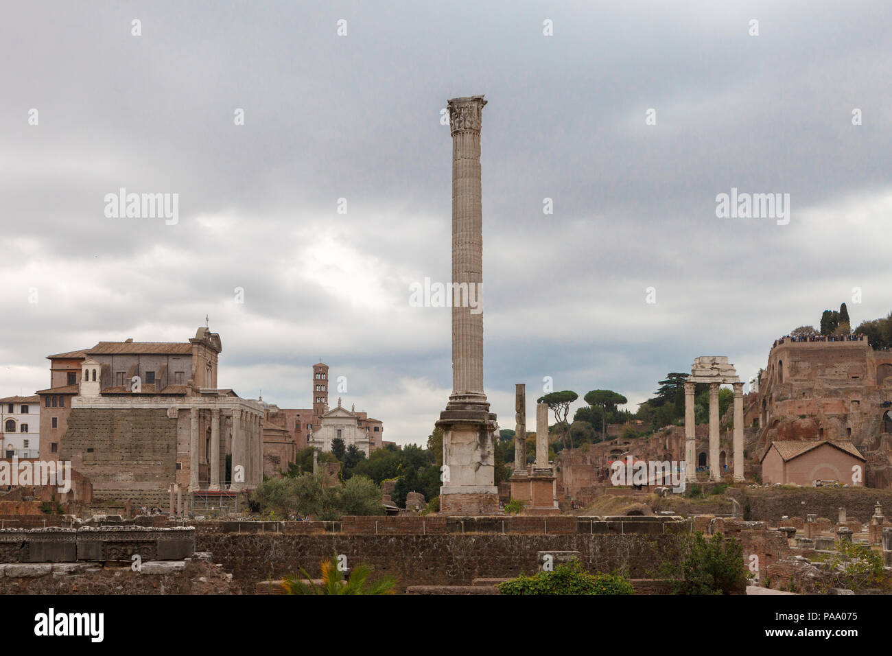 Column of phocas hi-res stock photography and images - Alamy