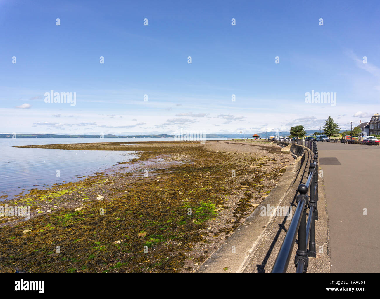 Seaweeded beach hi-res stock photography and images - Alamy